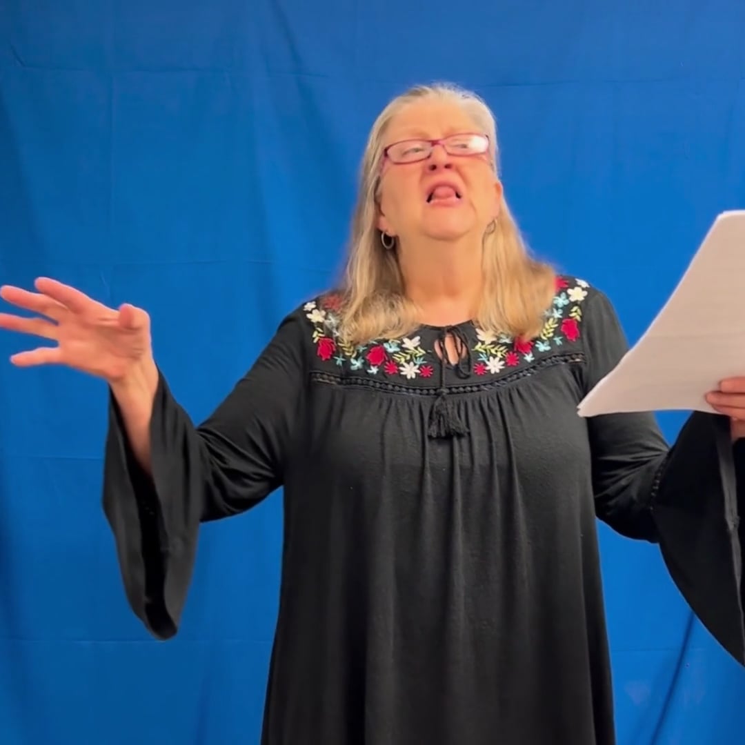 Julie Gabel Audition Take Two on Vimeo