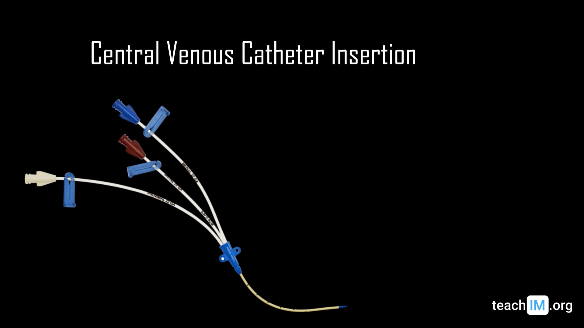 CVC insertion - TLC IJ on Vimeo