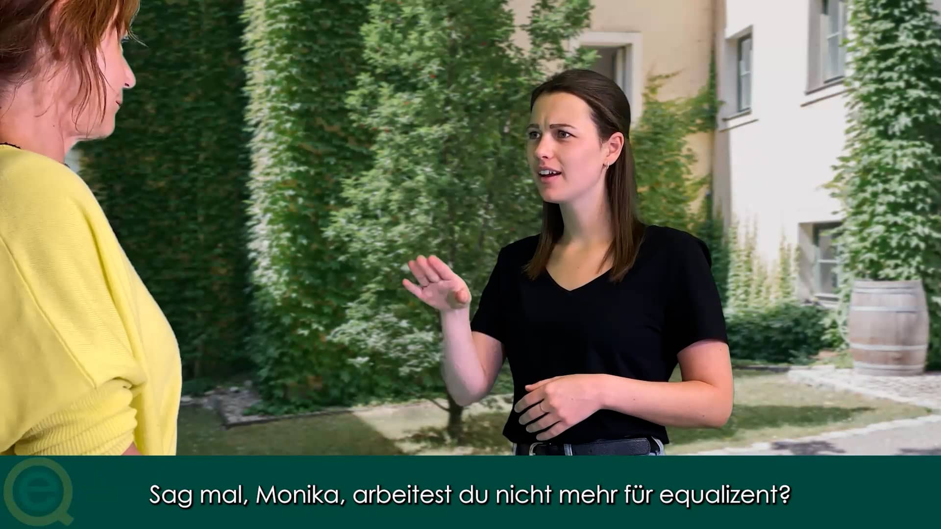 Monika Haider wechselt zu equalizent Social Franchise on Vimeo