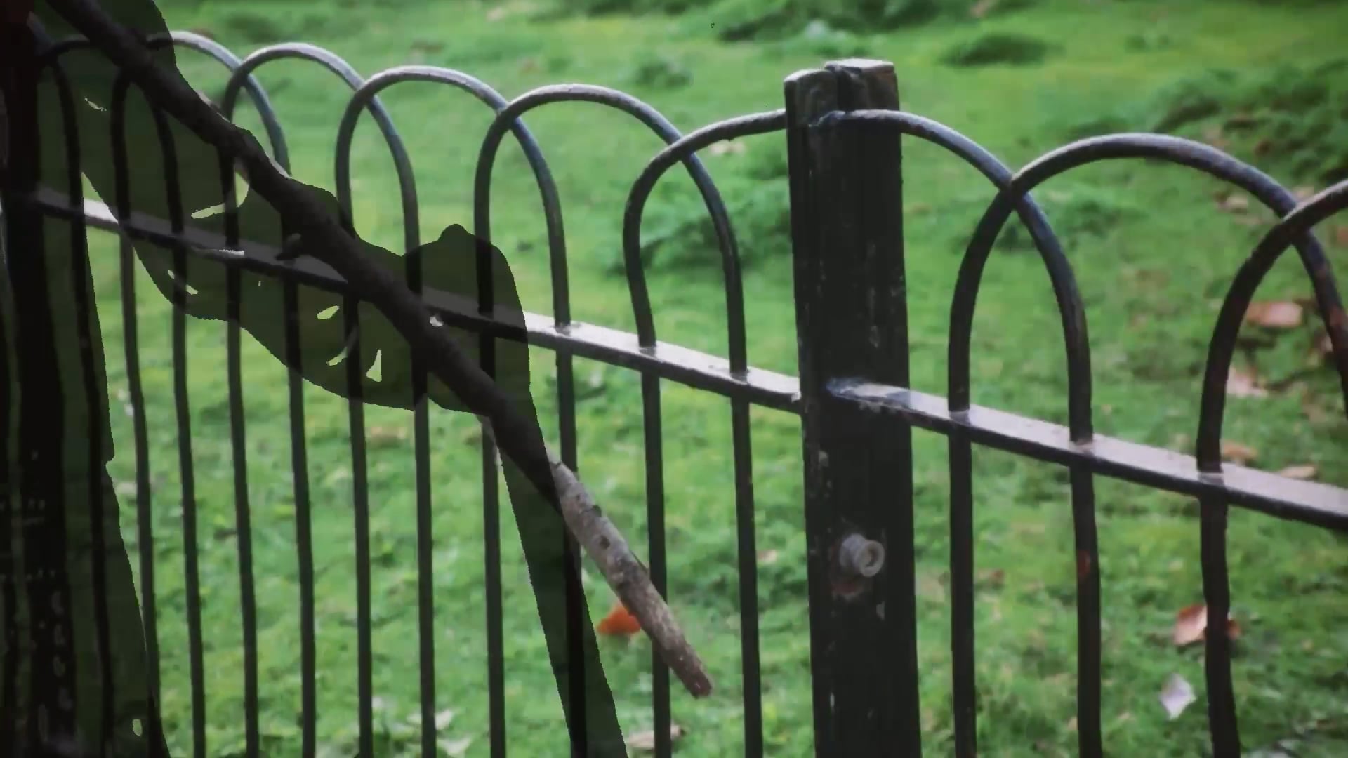 degree show.mp4 on Vimeo