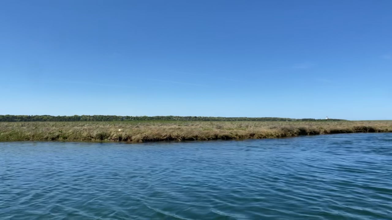 Paddle Cape Cod, MA - Kayak Rentals, Paddle Board Rentals