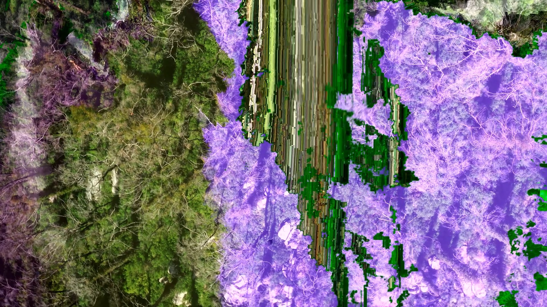 Regenesis, Jess MacNeil 2022 (Excerpt) on Vimeo