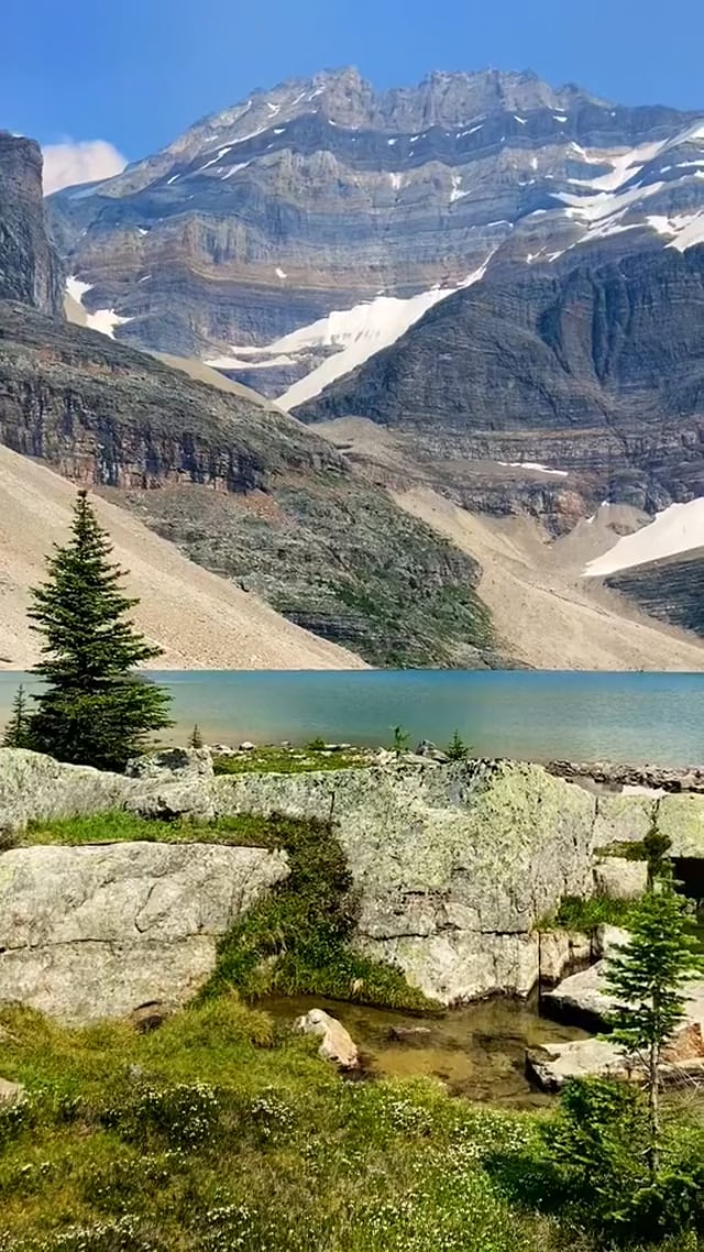 Aron Chambers on Vimeo