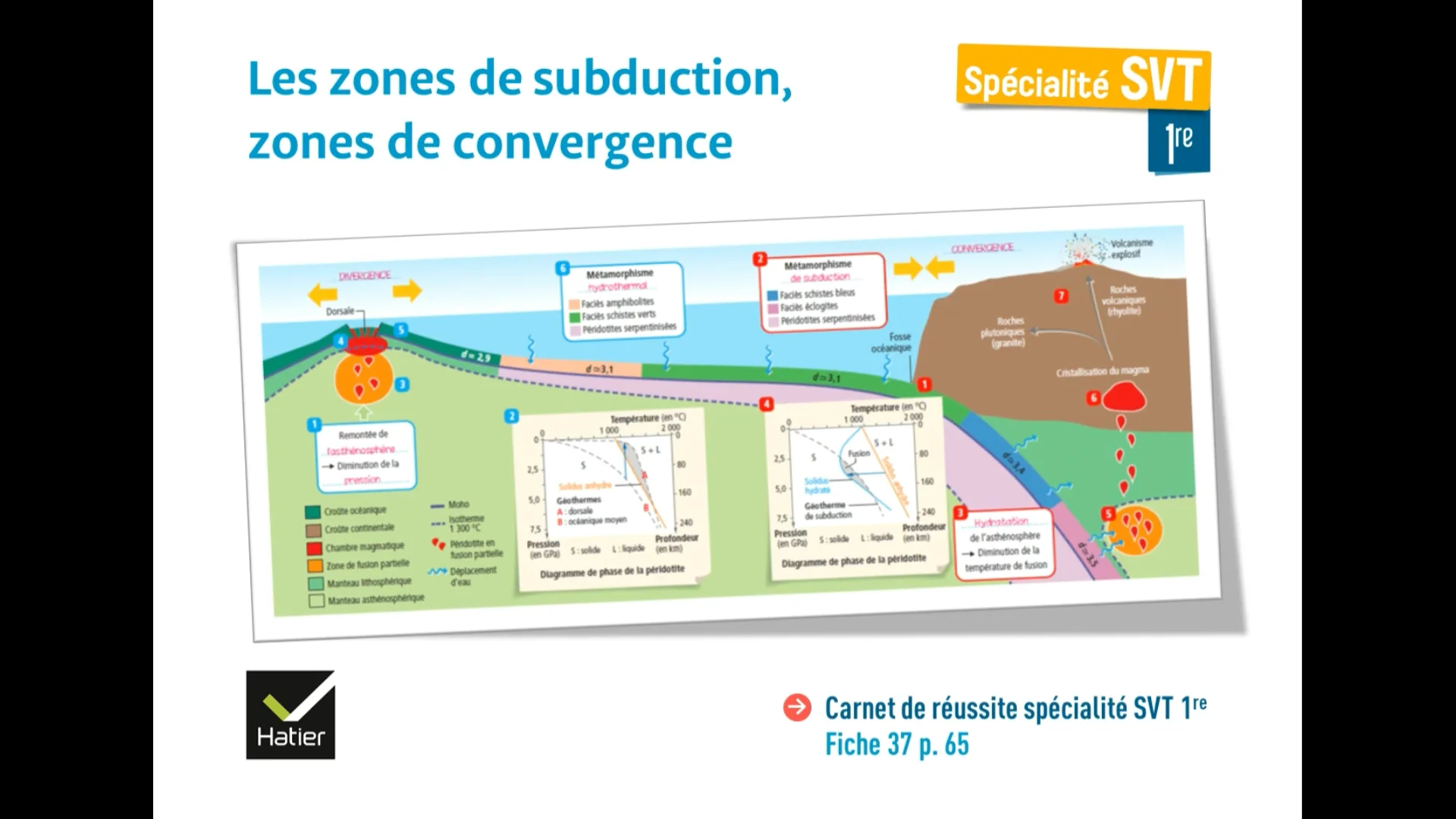 Les zones de subduction, zones de convergence : schéma bilan pas à pas