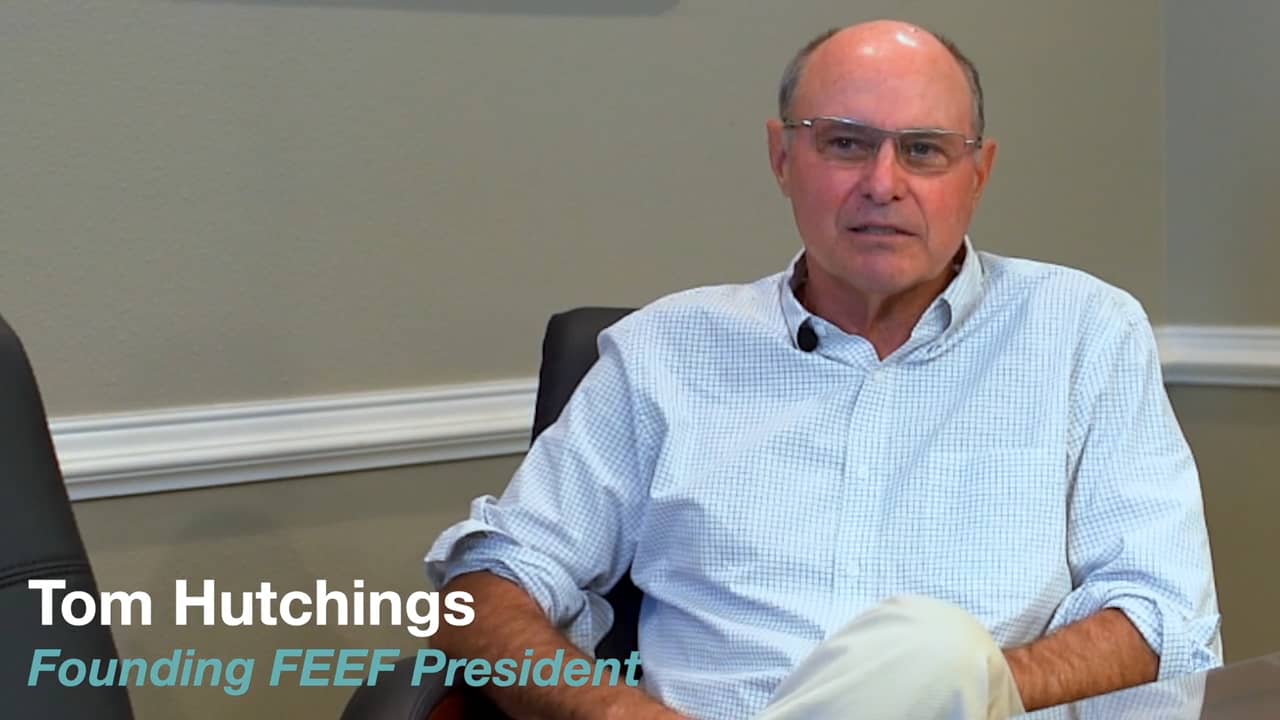 FEEF - Tom Hutchings.mov on Vimeo