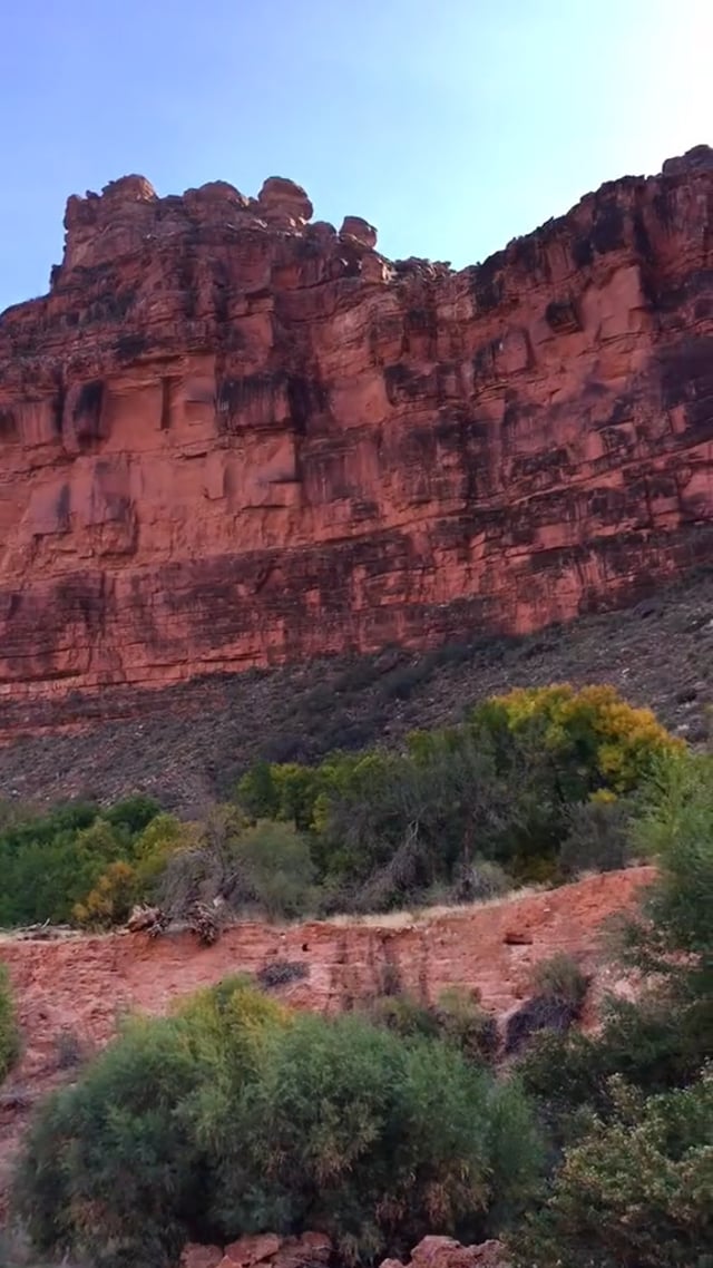 Isla-Mae Pennington on Vimeo