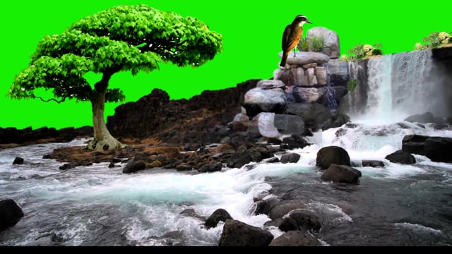 Water Flowing Falls - Free video on Pixabay