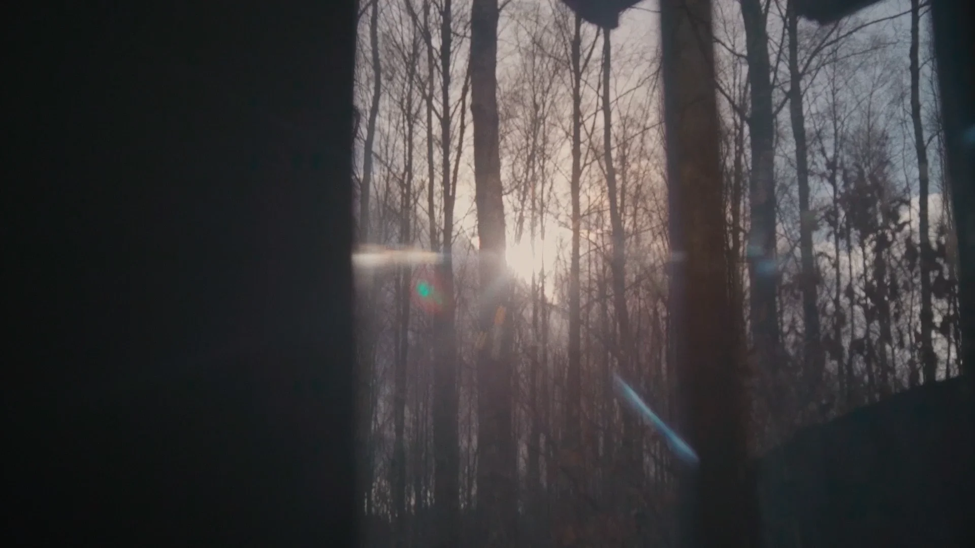 Watch Wild Women Online | Vimeo On Demand on Vimeo