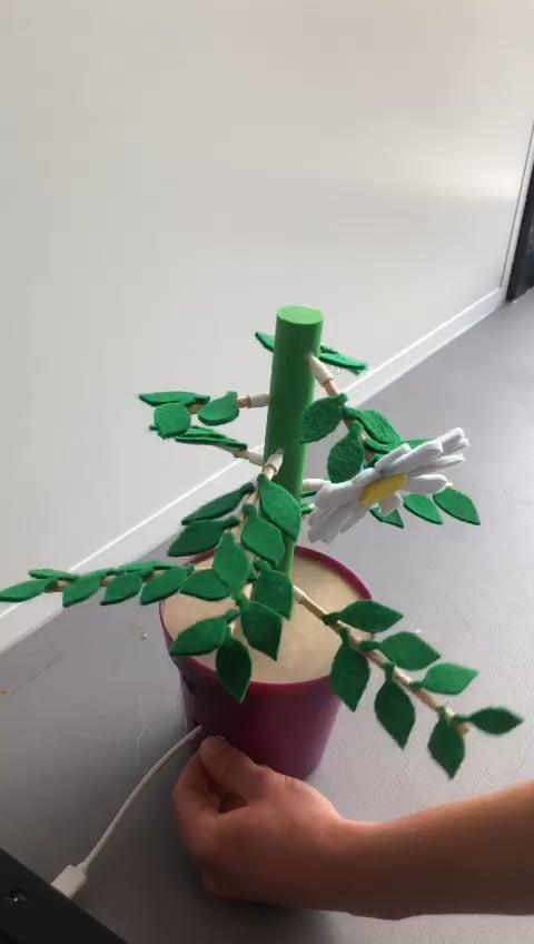 Moving Daisy on Vimeo