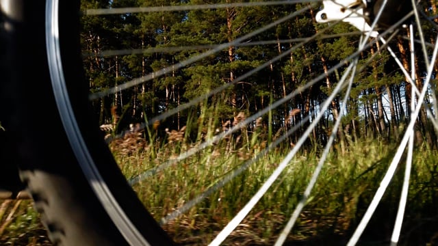 Bicycle Stroll Wheel - Free video on Pixabay