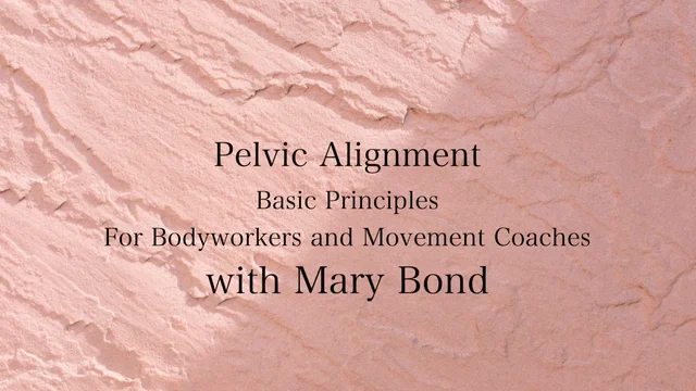 Watch Pelvic Alignment: Basic Principles for Bodyworkers and Movement ...