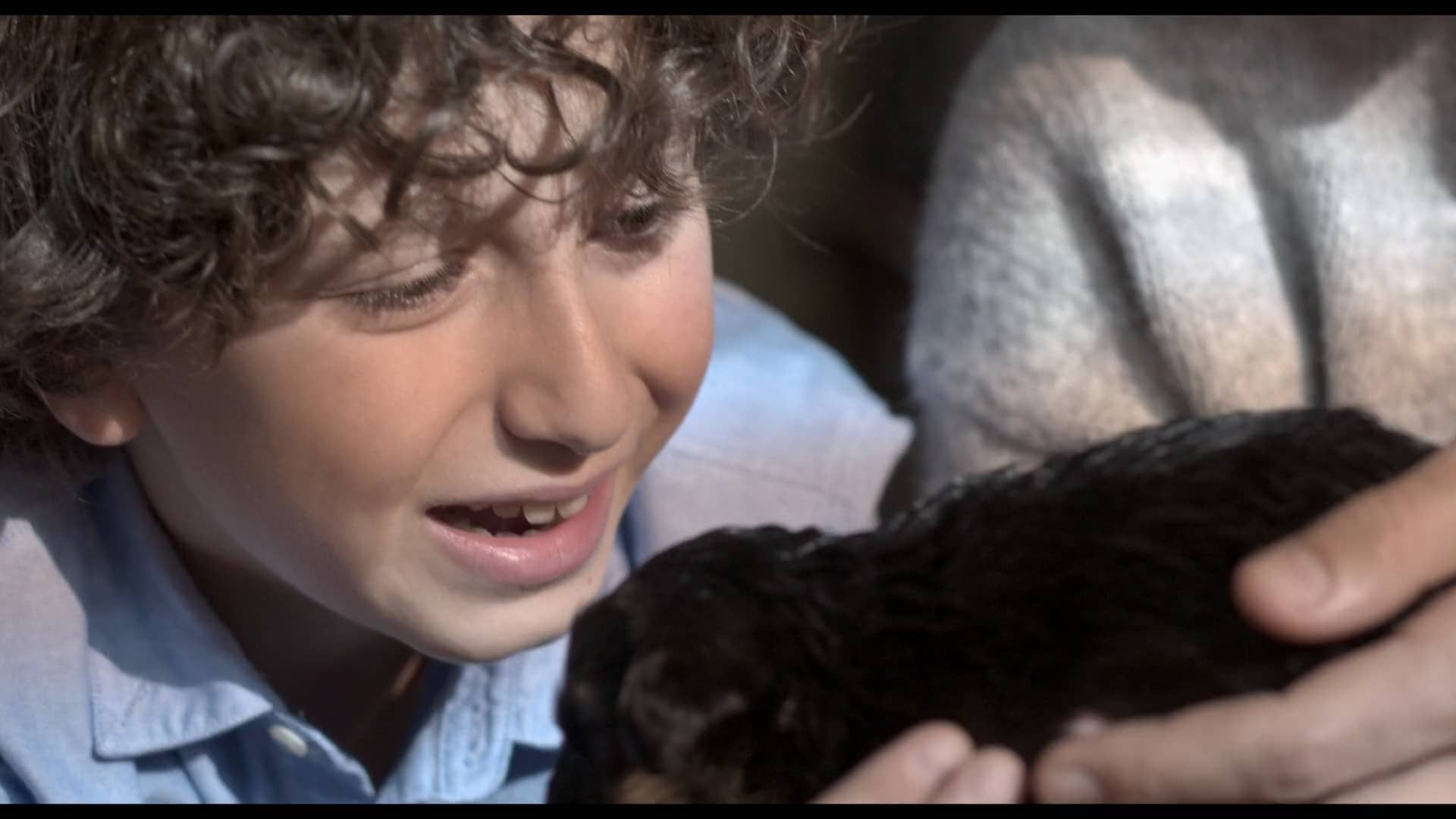 Shepherd: The Story of a Jewish Dog - Trailer on Vimeo