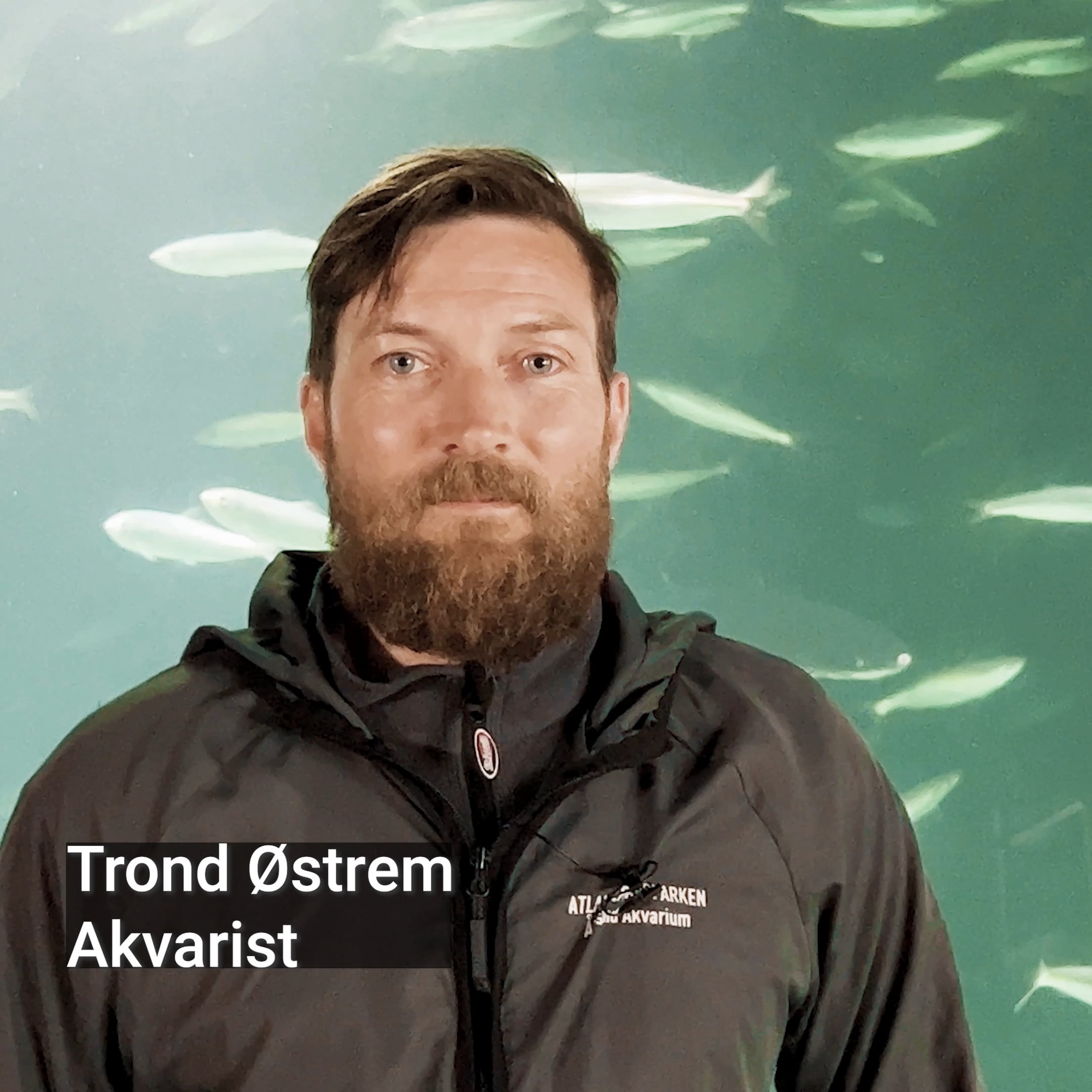 TROND 1-1 on Vimeo