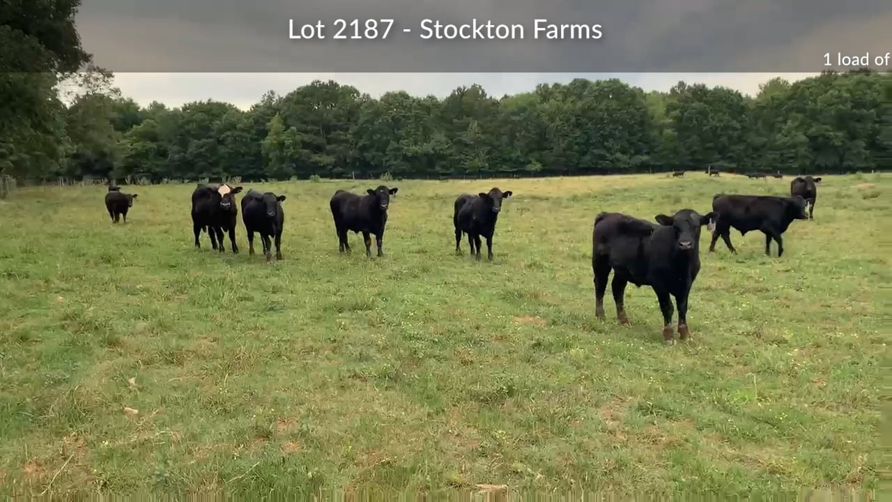 2187-Stockton Farms.mp4 on Vimeo