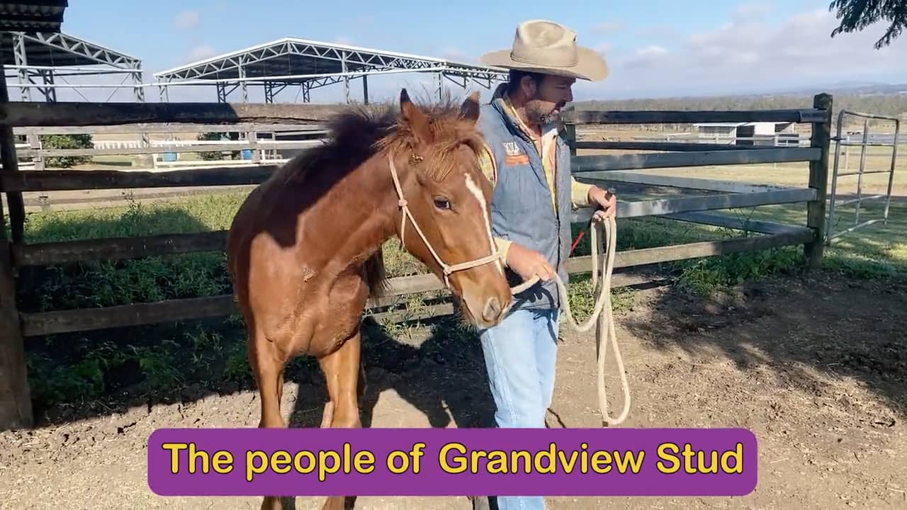 The People of Grandview Stud – Kent Ferguson on Vimeo