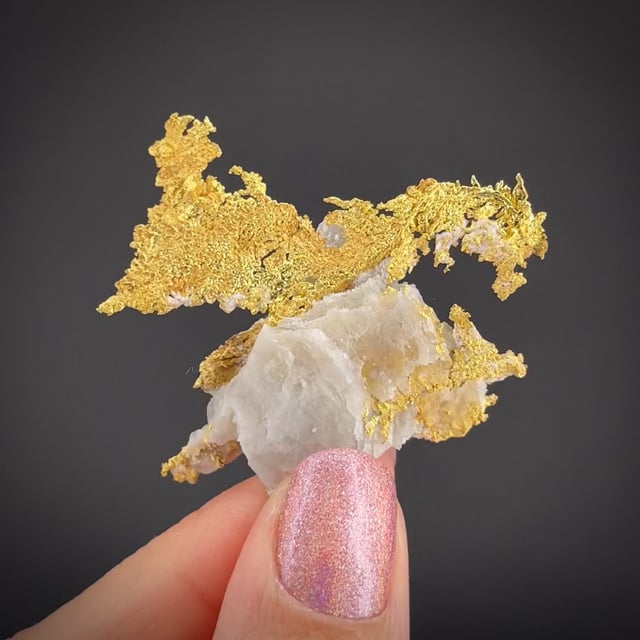 Gold on Quartz - MET22-02 - Eagle's Nest Mine - USA Mineral Specimen