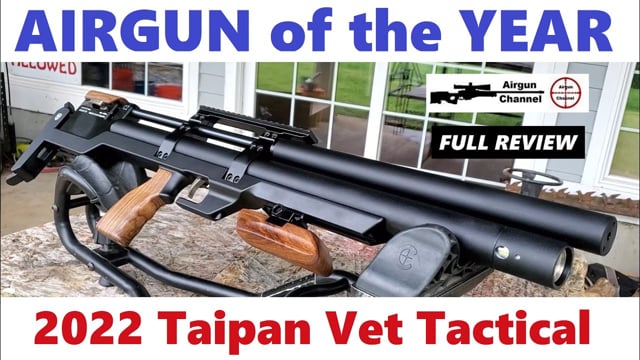 TAIPAN Veteran TACTICAL Long (Full Review) AIRGUN of the YEAR 2022 ...