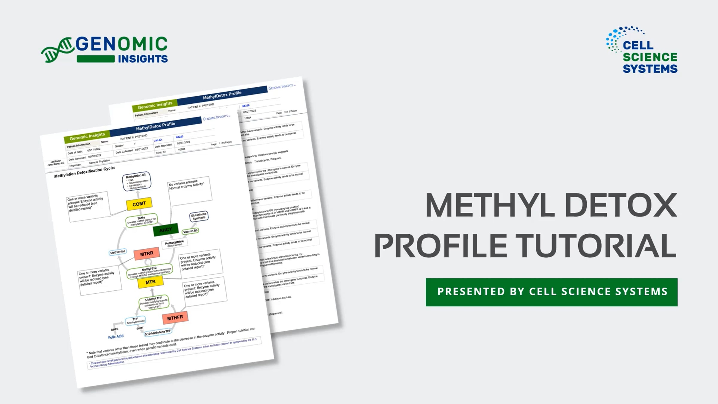 Methyl Detox Profile Tutorial