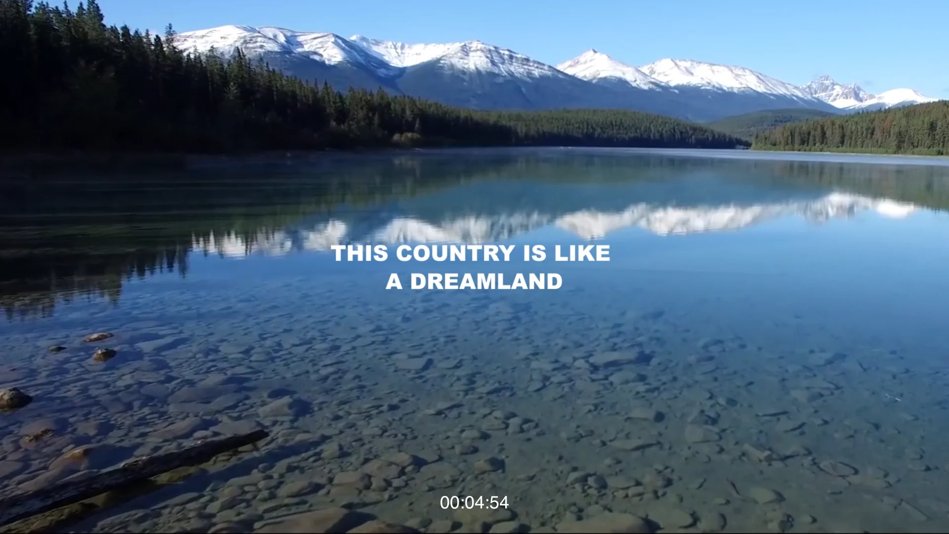 This Country Is Like A Dreamland - naakita feldman-kis, Tam Khoa Vu ...