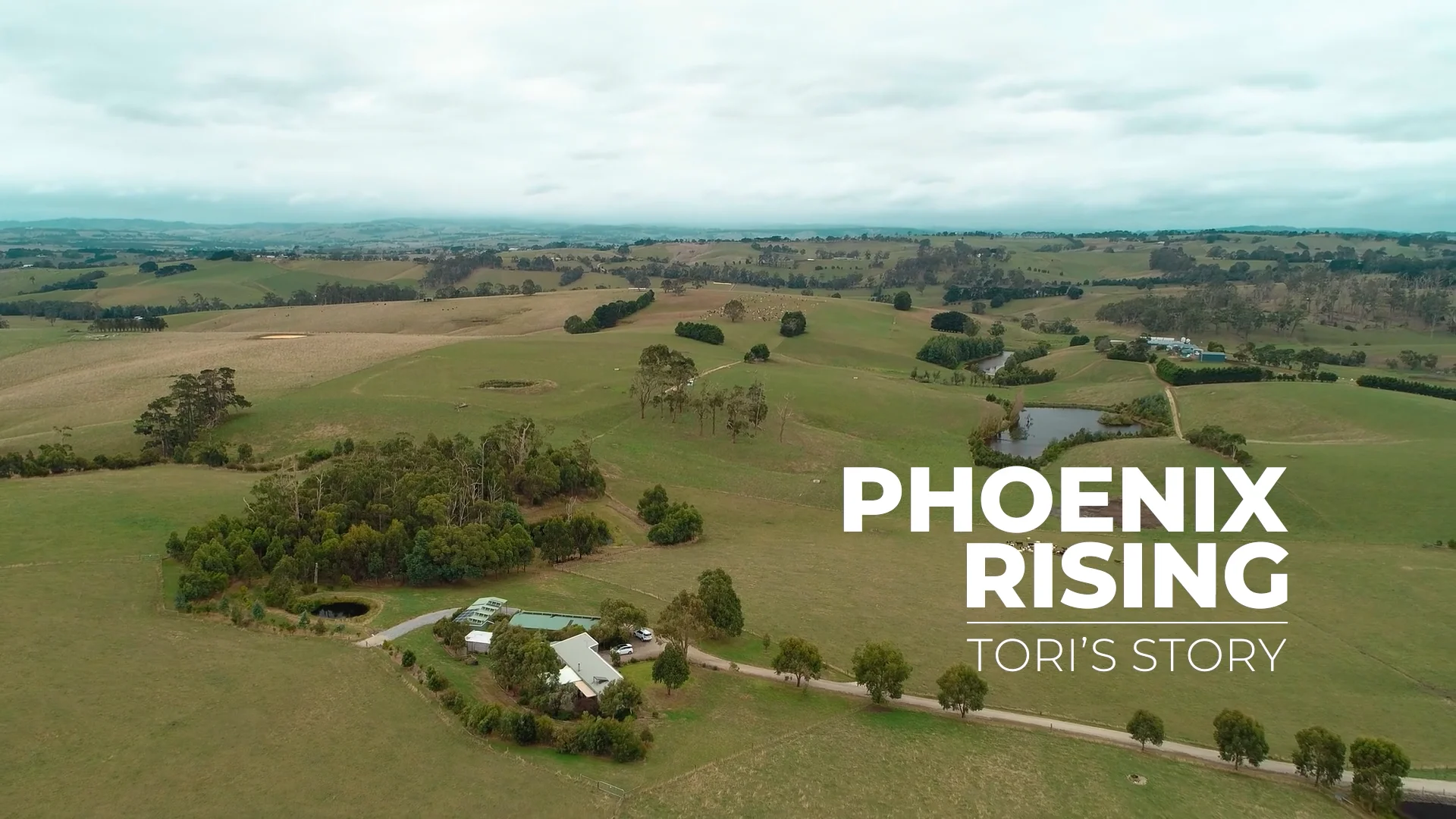 Phoenix Rising // Tori's Story on Vimeo