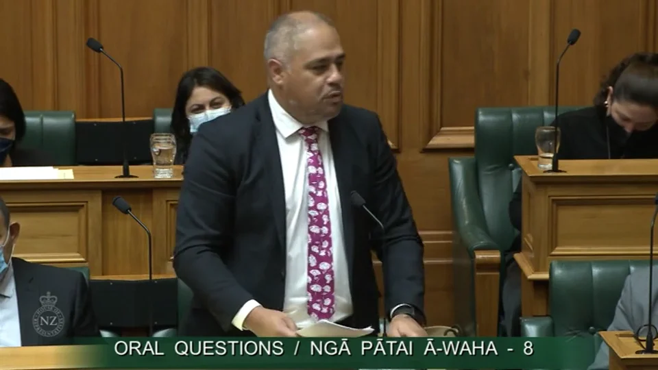 Question 8 - Shanan Halbert to the Minister for Whānau Ora on Vimeo