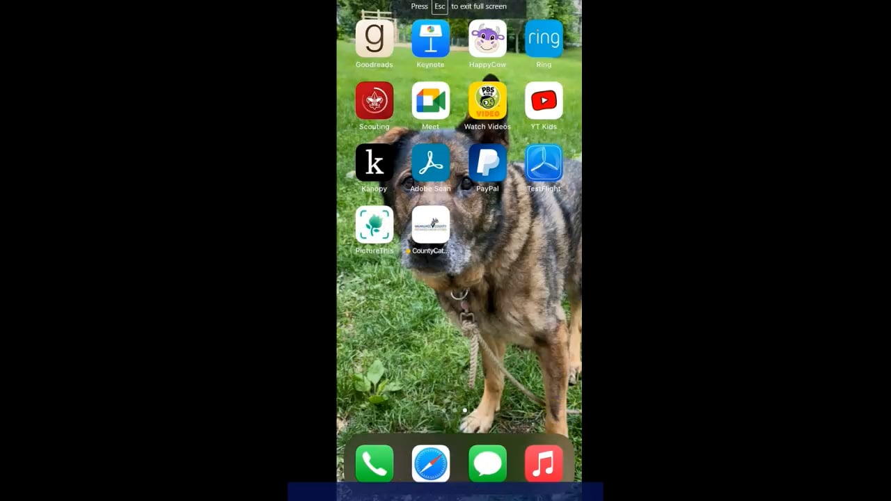 Getting Started on the CountyCat Mobile App on Vimeo