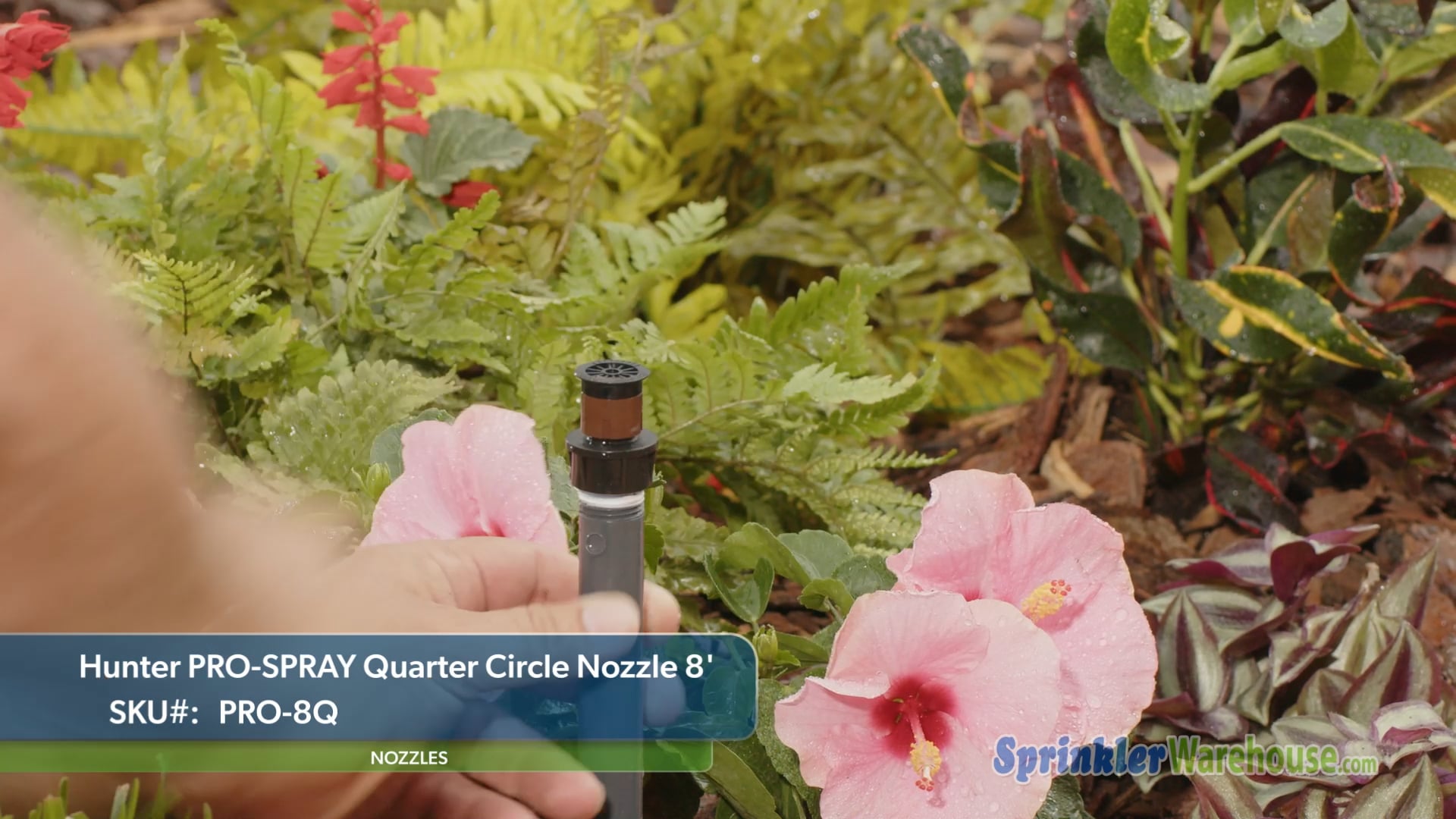 PRO-8Q on Vimeo