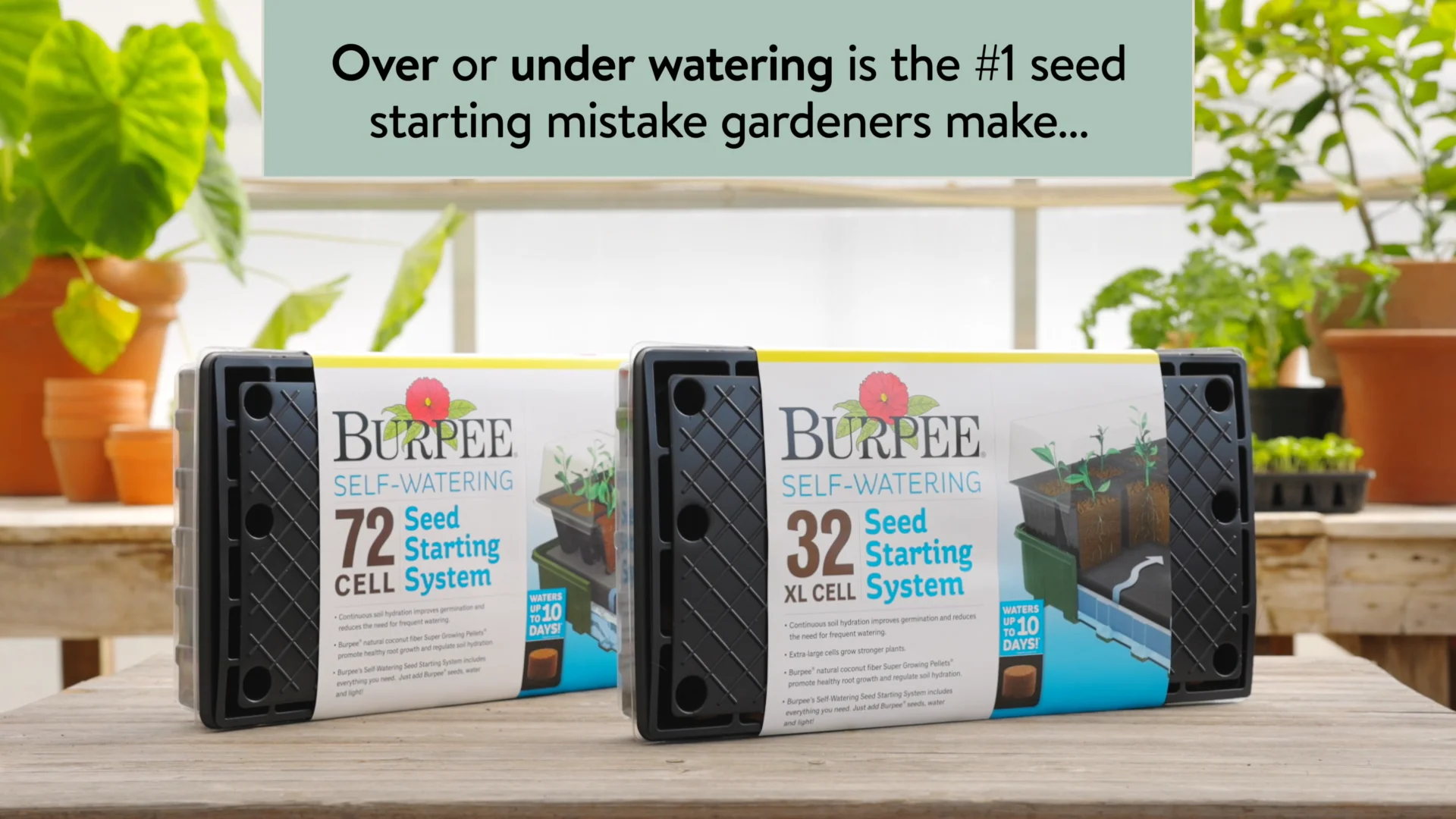 How to Use the Burpee Self-Watering Seed Starting System