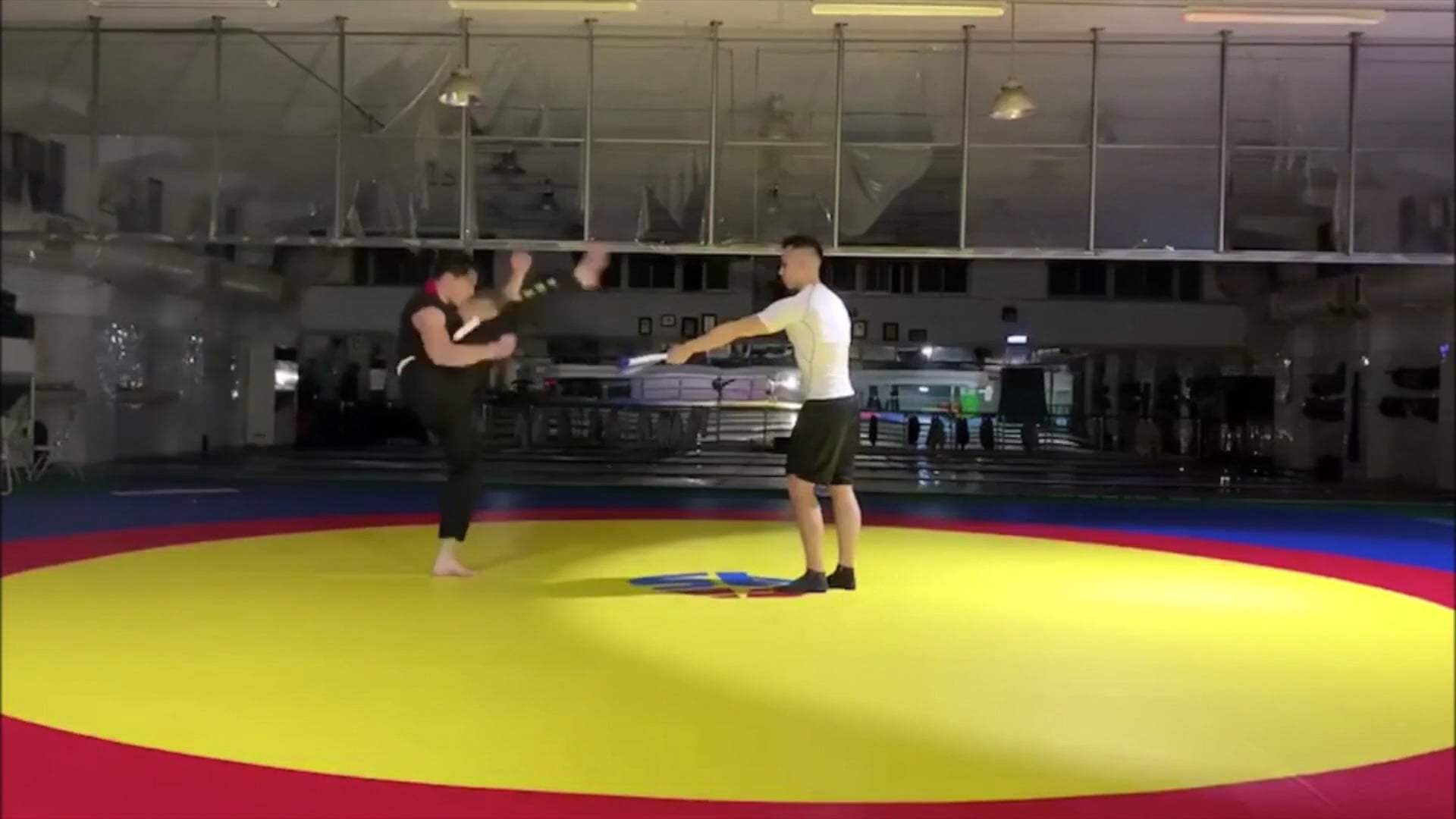 Mingyu Chu Martial Arts Reel on Vimeo