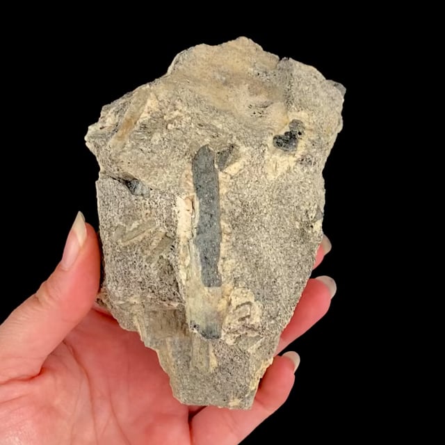 Kornerupine (rare in matrix) | Mt Riddock Station, Harts Range, Central ...