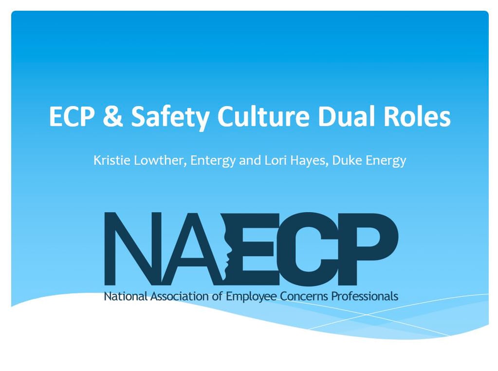 ECP and Safety Culture Dual Roles on Vimeo