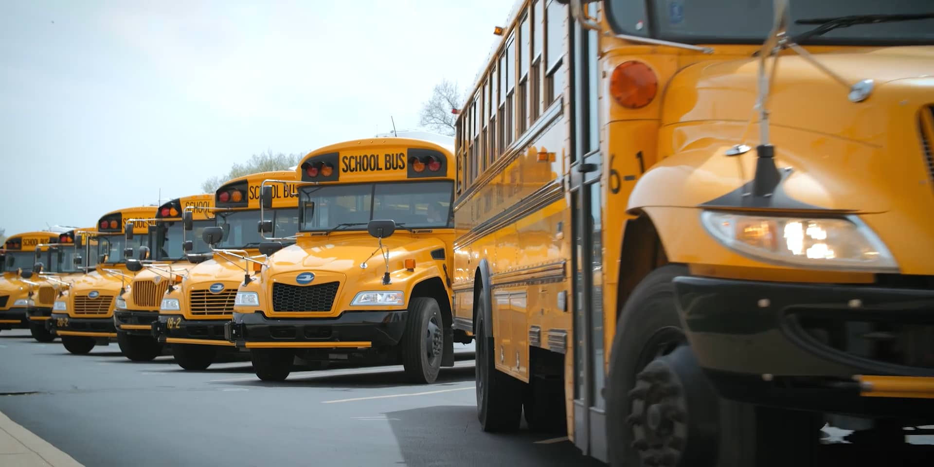 Love what you do. Drive a bus. on Vimeo