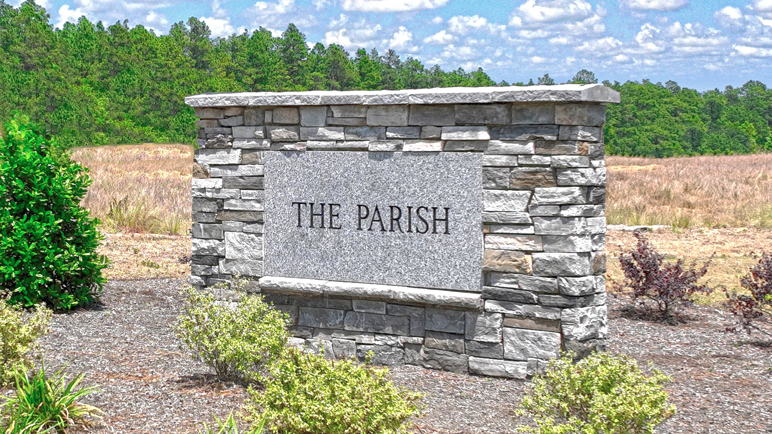 Featurette: The Parish at Flat Rock Townhomes by D.R. Horton ...