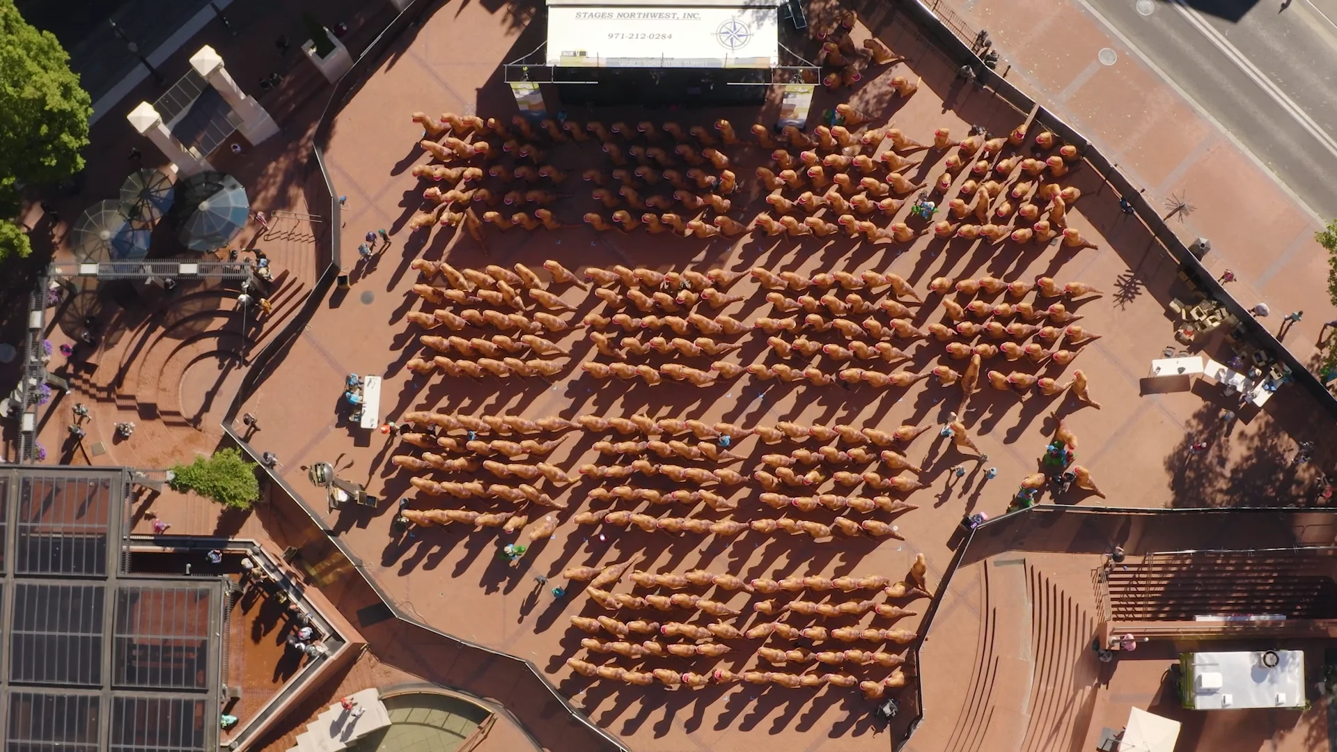 WDS 2022 - WDSX _ Dino Recap _V2 on Vimeo