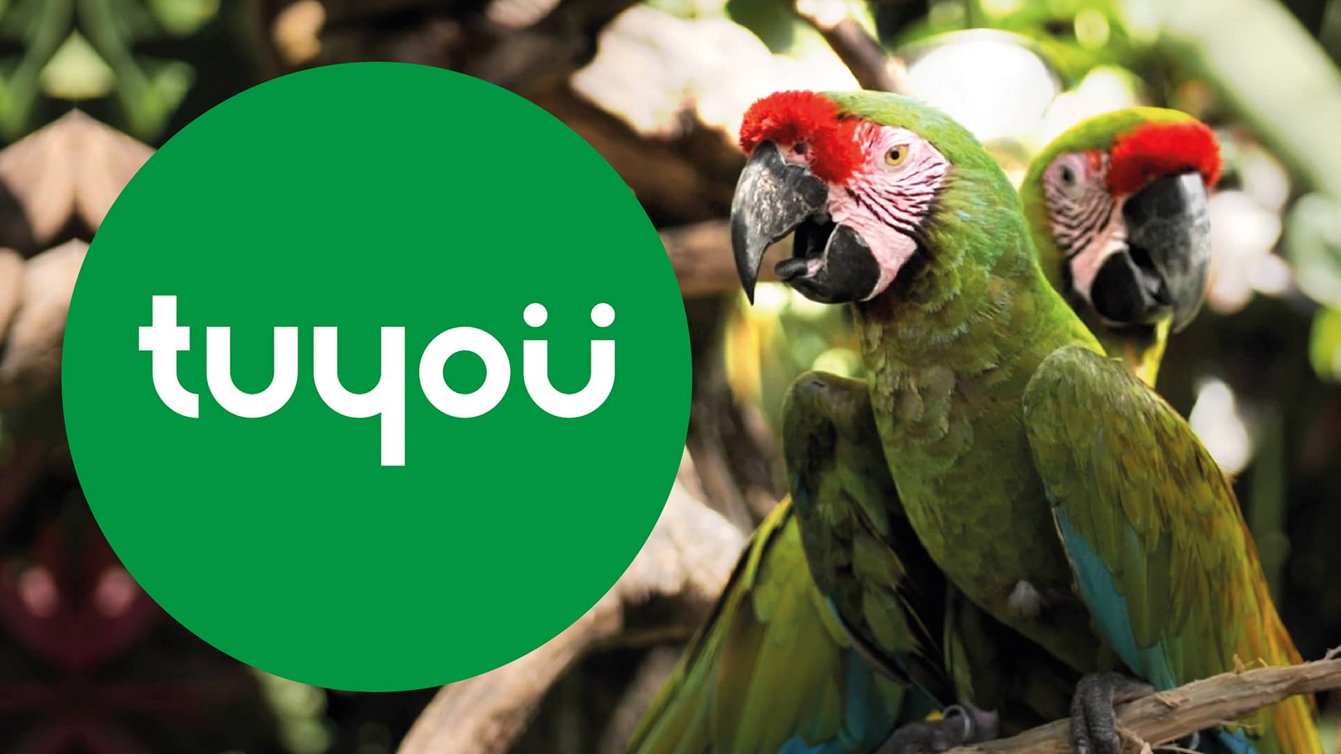 ¿Sabes que es Tuyou? on Vimeo