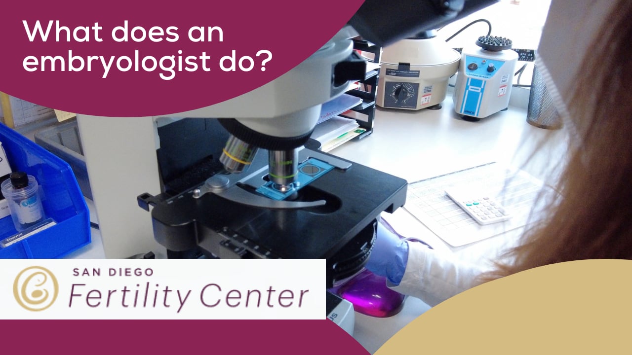 SDFC_ 1035_WEB_What does an embryologist do Jennifer Collins on Vimeo