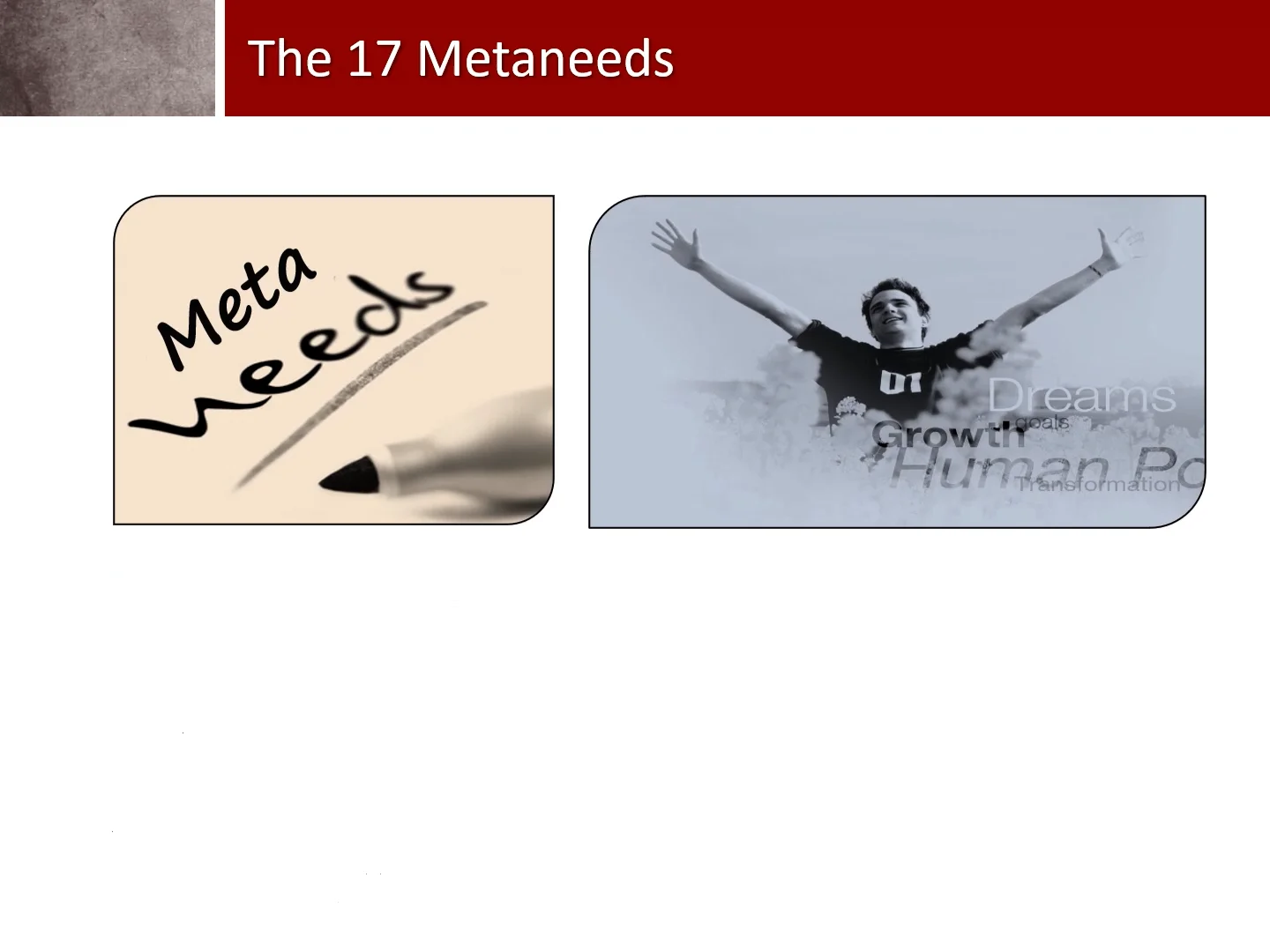 Objective-5-List-the-17-Metaneeds on Vimeo