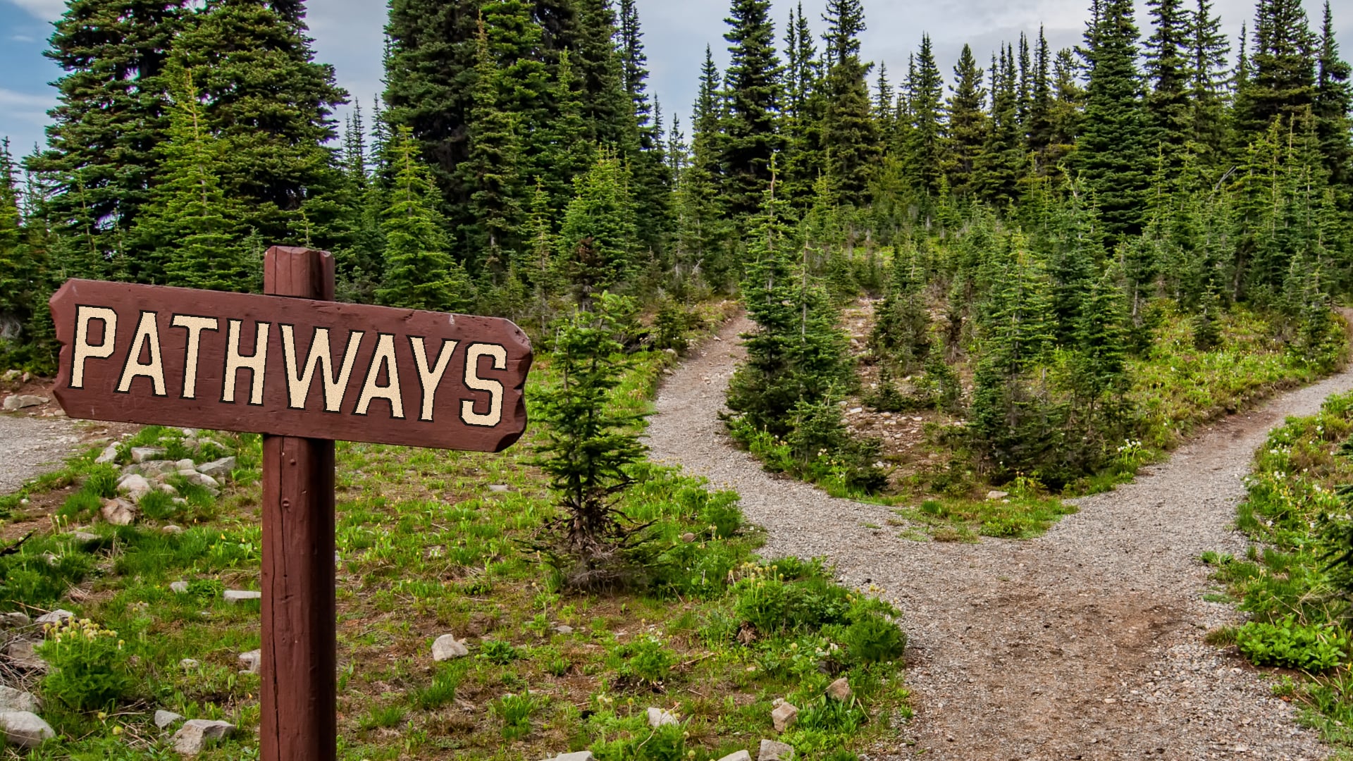 Pathways Week 2 on Vimeo