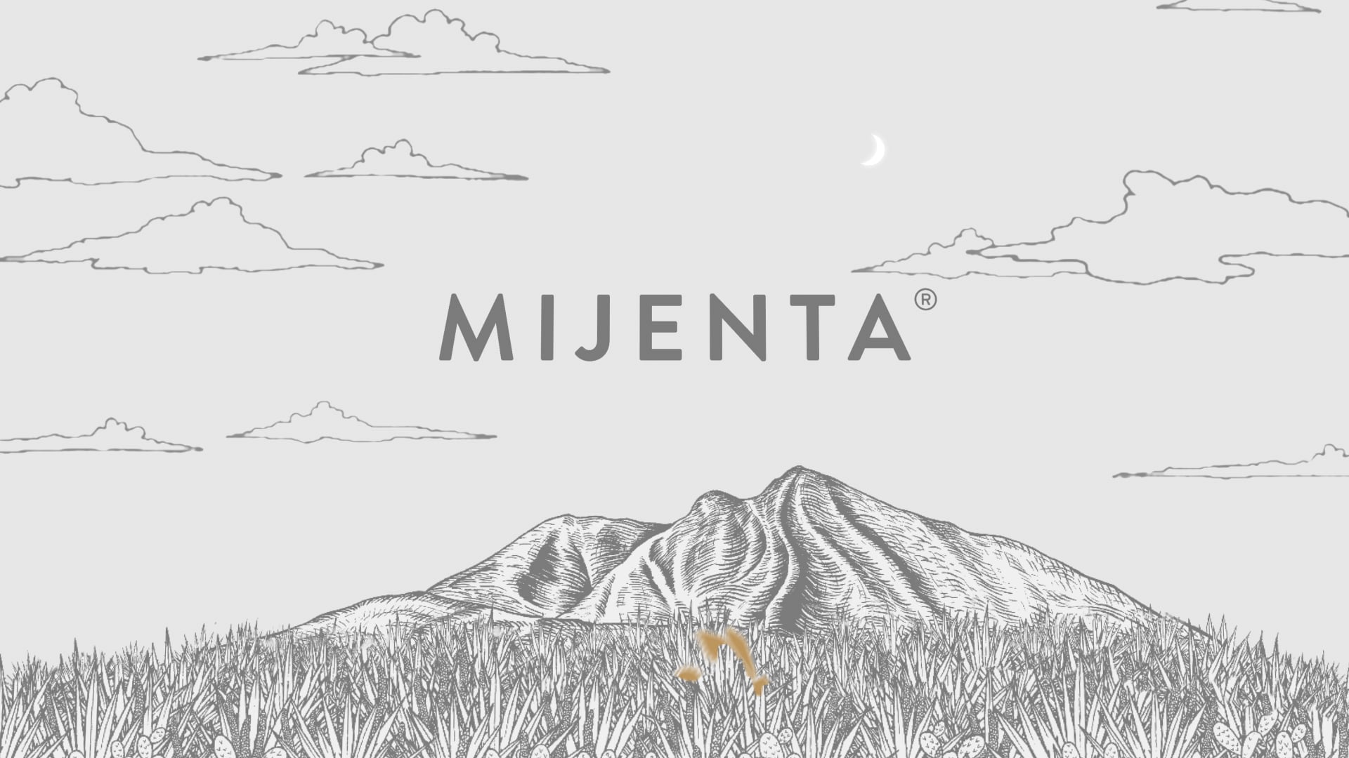 Mijenta_Logo_Grey_HD.mov on Vimeo