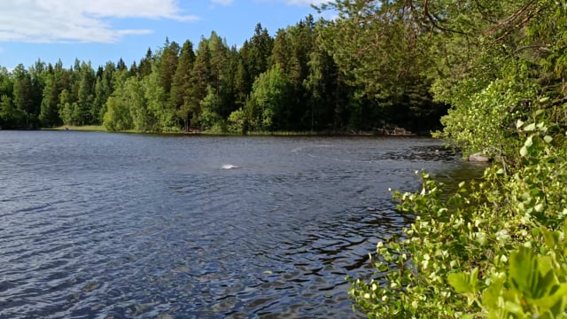 Whirlwind Wind Lake - Free video on Pixabay