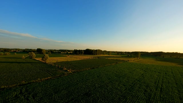 Corn+Field Videos: Download 58+ Free 4K & HD Stock Footage Clips - Pixabay