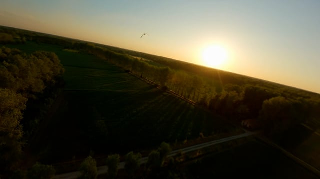 200+ Free Birds Flying & Flying Videos, HD & 4K Clips - Pixabay