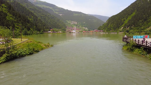 Rio Lago Riacho - Free video on Pixabay