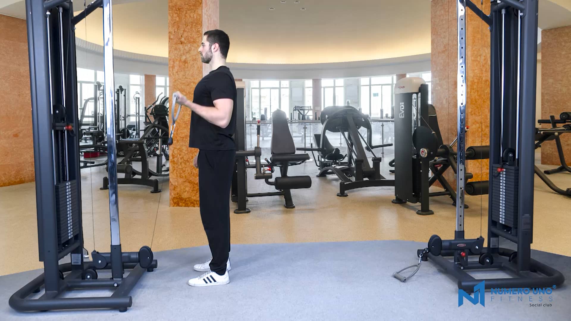 327_Curl_bicipiti_cavo_basso_singolo on Vimeo