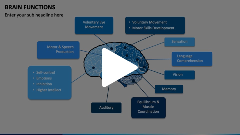 Brain Functions Animated Presentation - SketchBubble on Vimeo