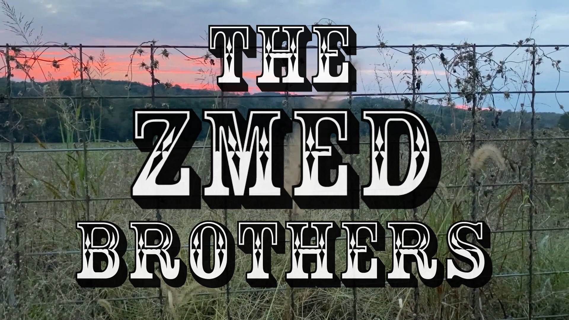 The Zmed Brothers