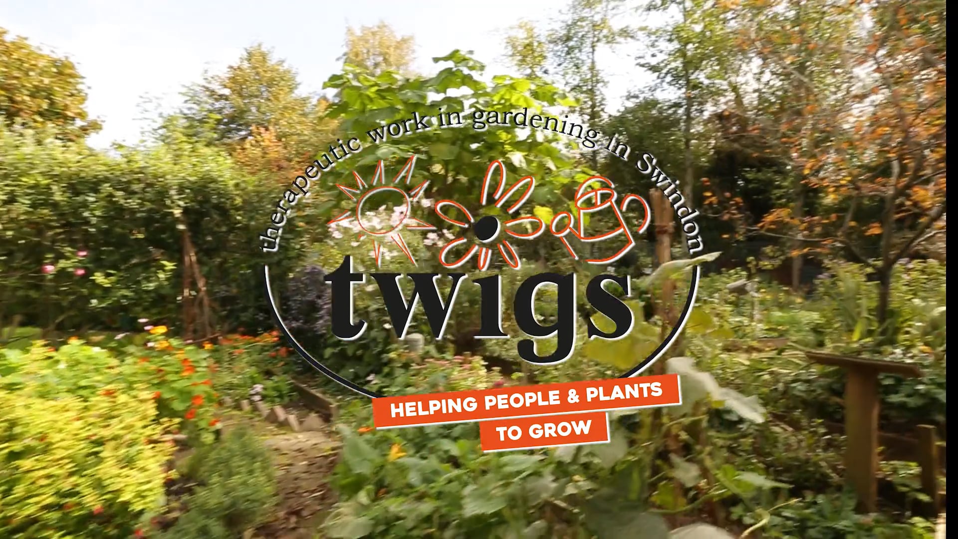 twigs_film_2017 (1080p).mp4 on Vimeo