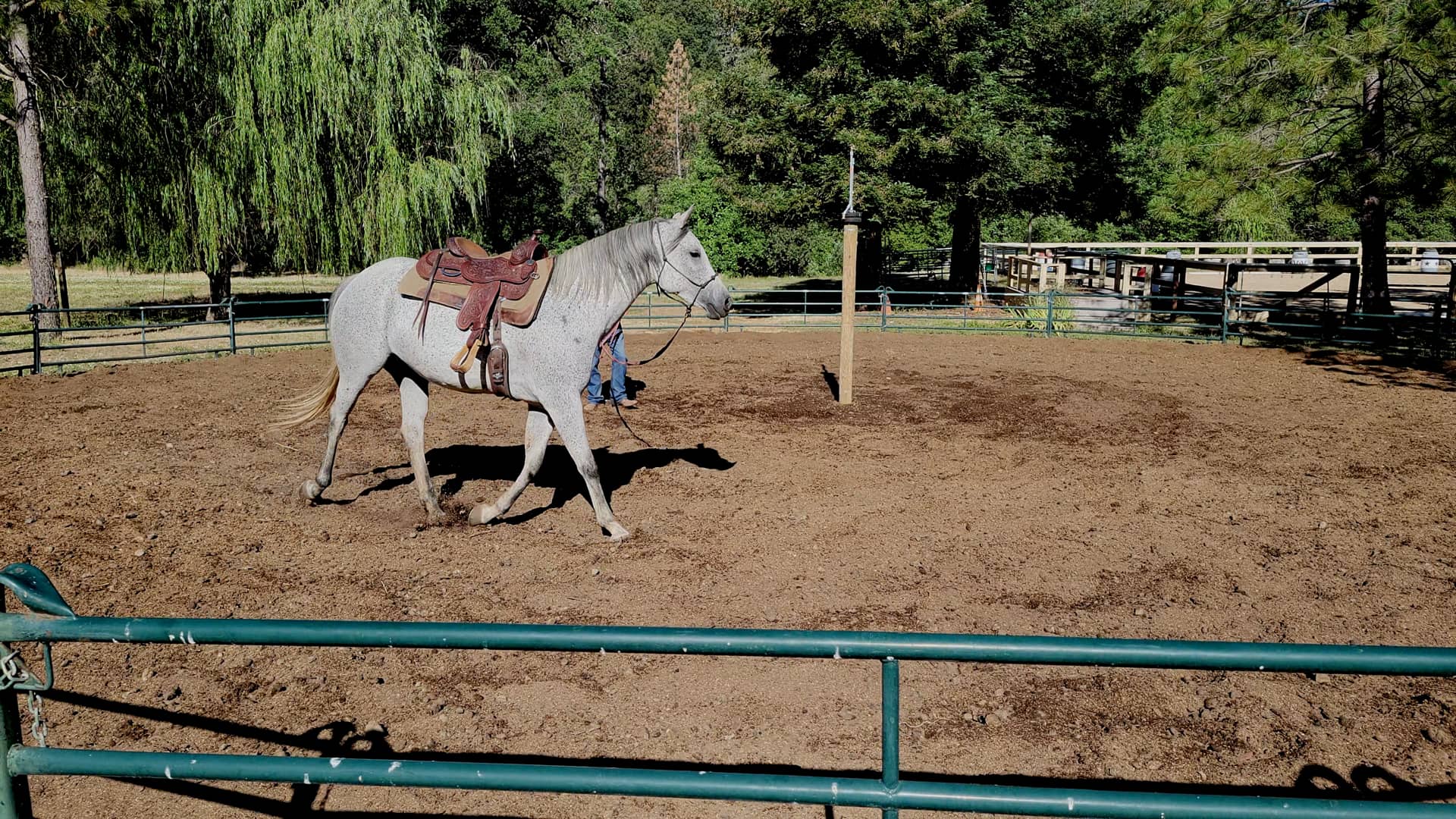 Kit and the Snubbing post.mov on Vimeo