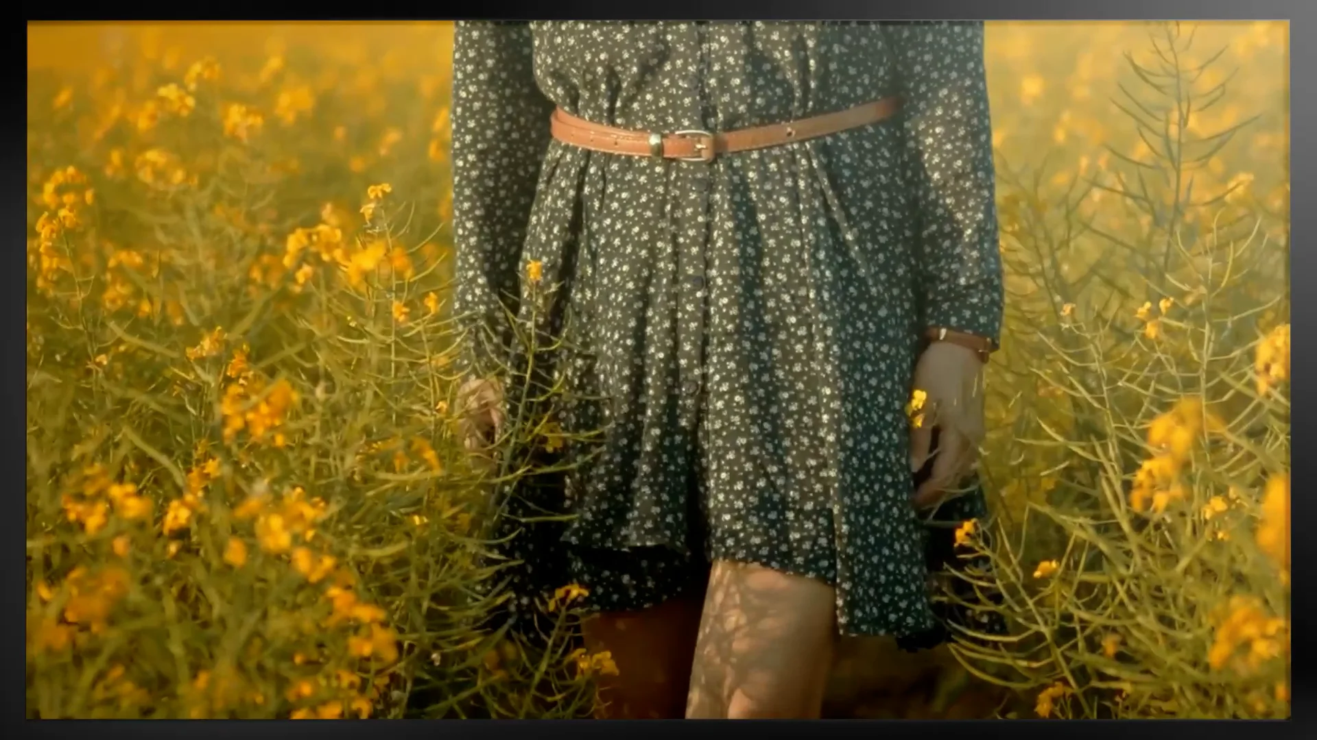 AirDye by Debs - airdye.io チュートリアル - 日本語 - V2 on Vimeo