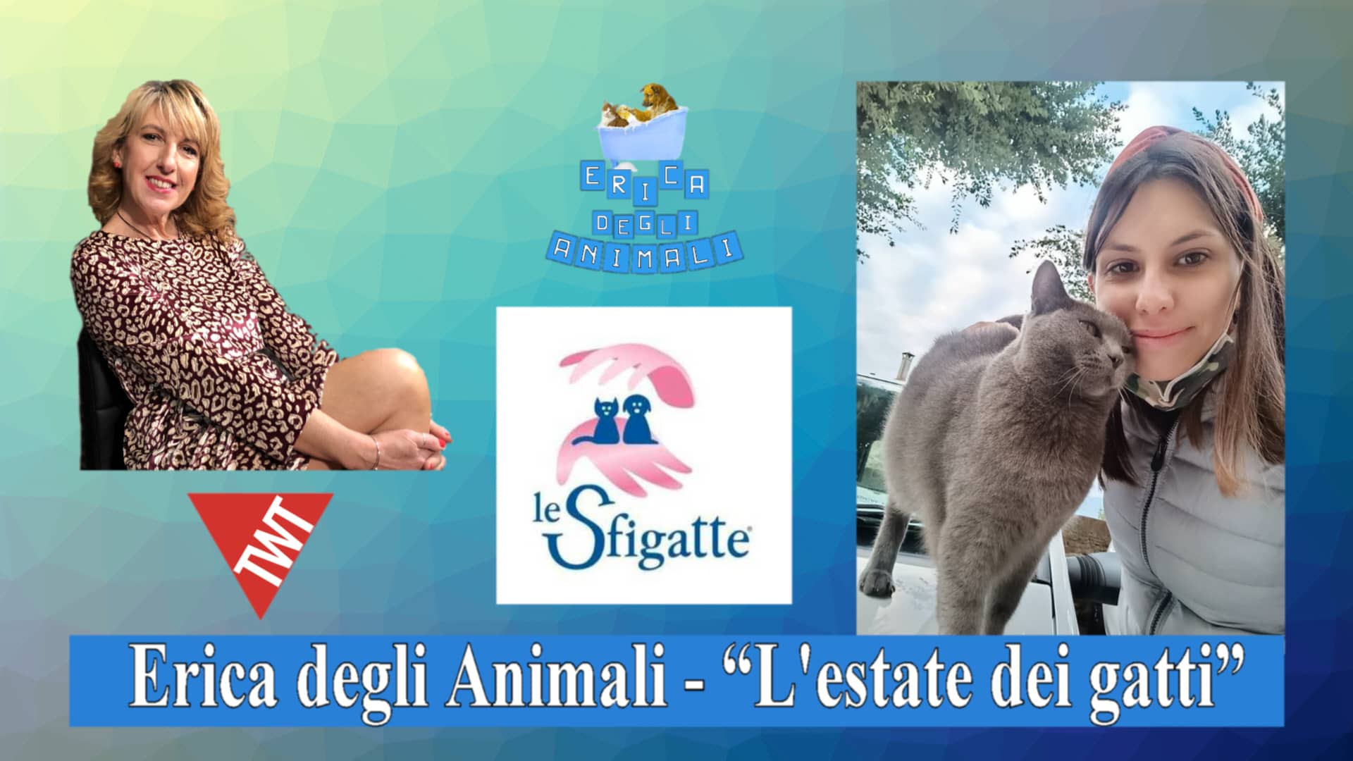 Erica degli Animali - “L'estate dei gatti” on Vimeo